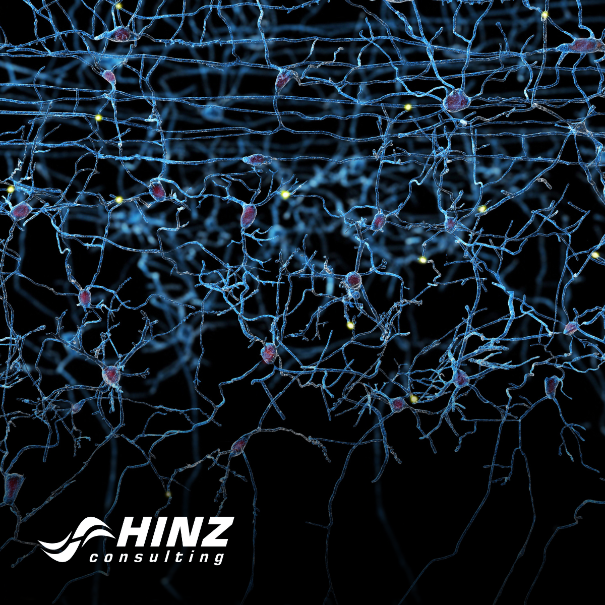 Convolutional Neural Networks In Proposal Graphics